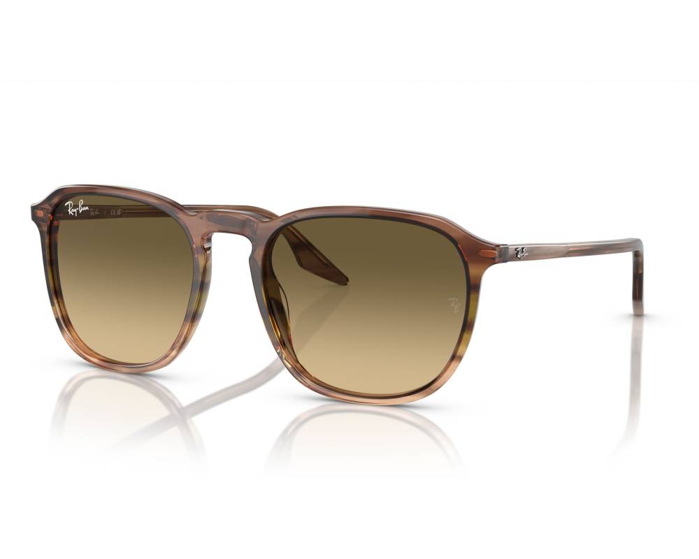Ray-Ban Sunglasses RB2203 13920A