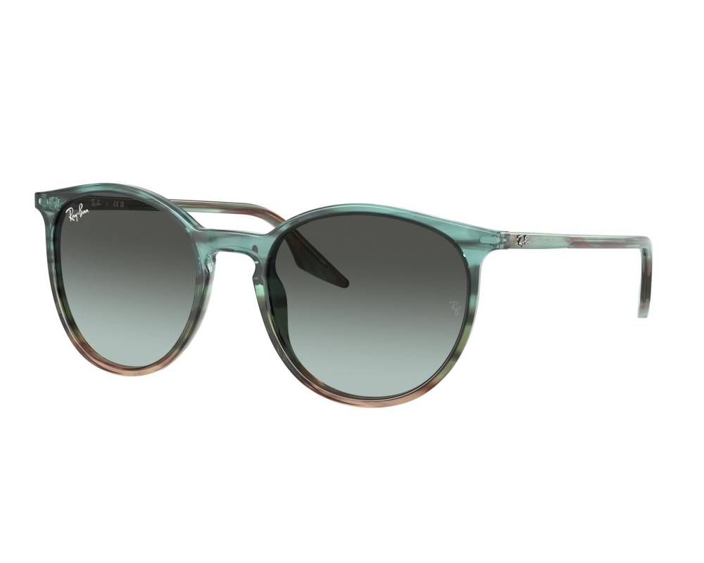 Ray-Ban Sunglasses RB2204 1394GK