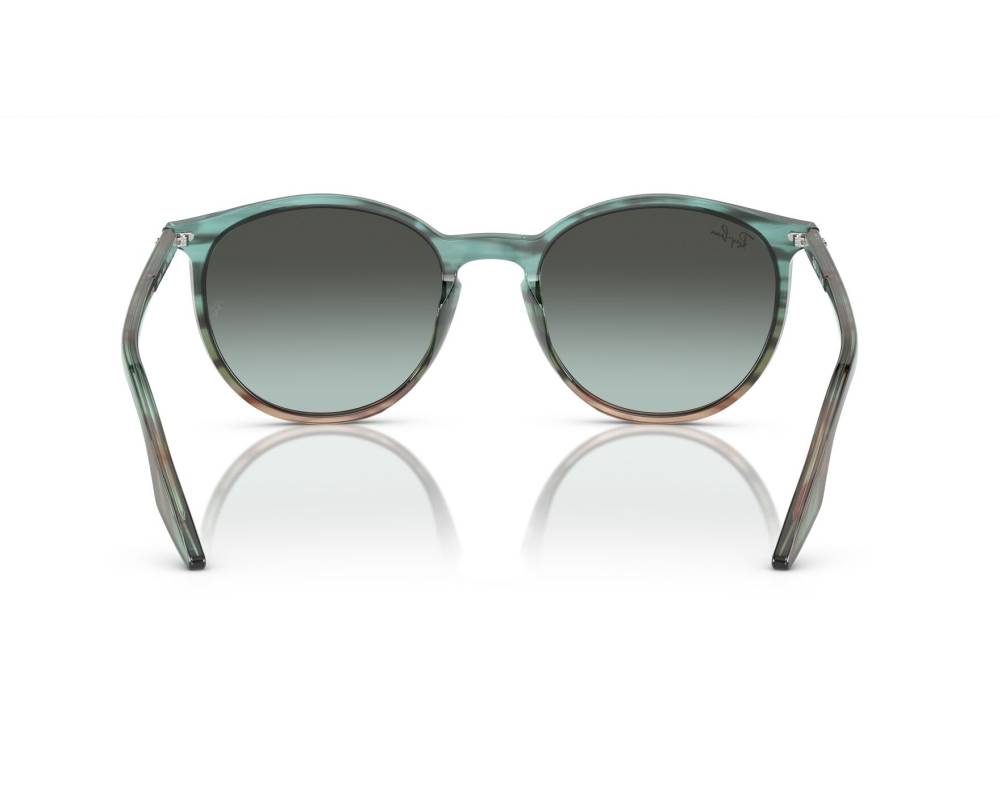 Ray-Ban Sunglasses RB2204 1394GK