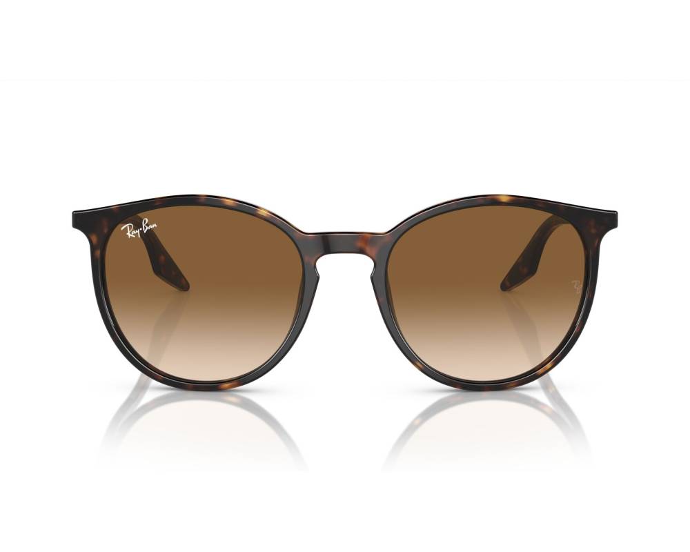 Ray-Ban Sunglasses RB2204 902/51