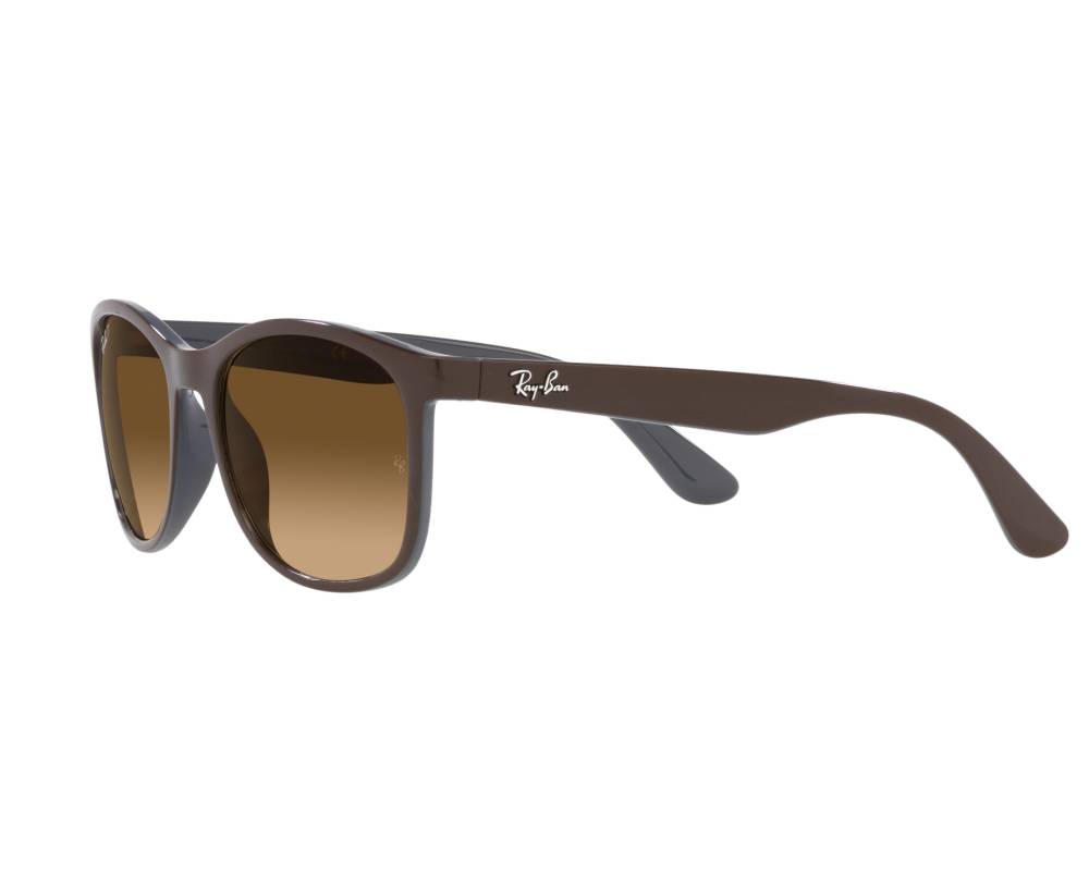 Ray-Ban Sunglasses RB4374 6600M2