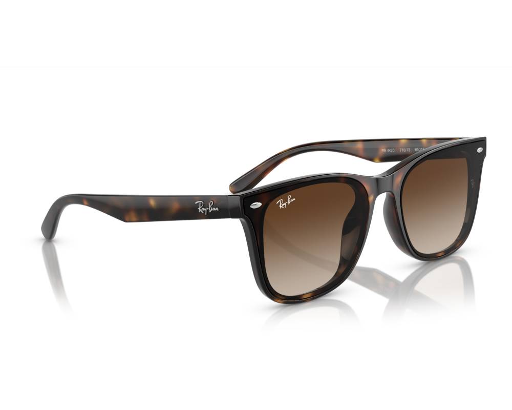 Ray-Ban Sunglasses RB4420 710/13