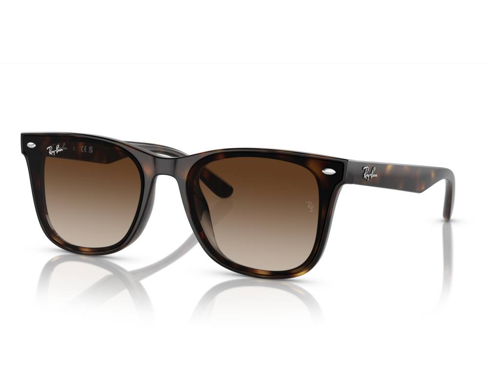 Ray-Ban Sunglasses RB4420 710/13