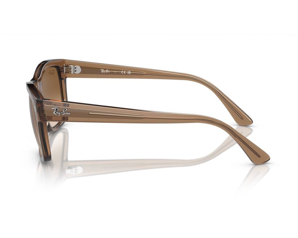 Ray-Ban Sunglasses RB4428 664051