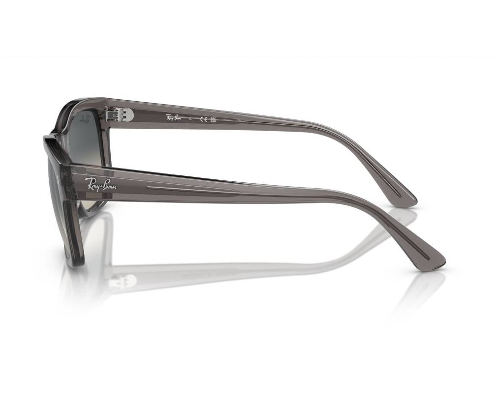 Ray-Ban Sunglasses RB4428 667571