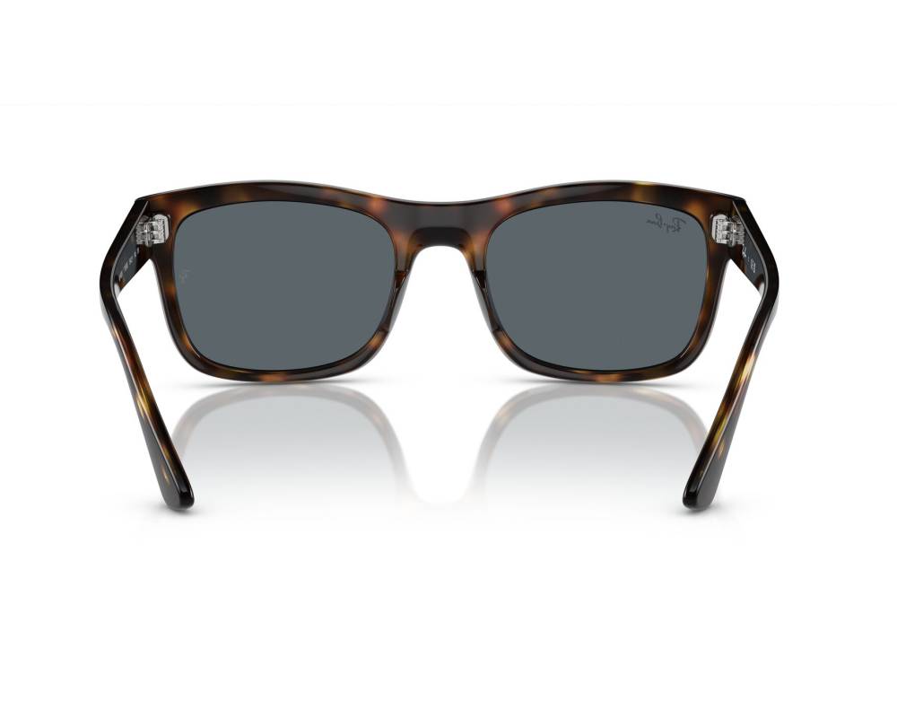 Ray-Ban Sunglasses RB4428 710/R5