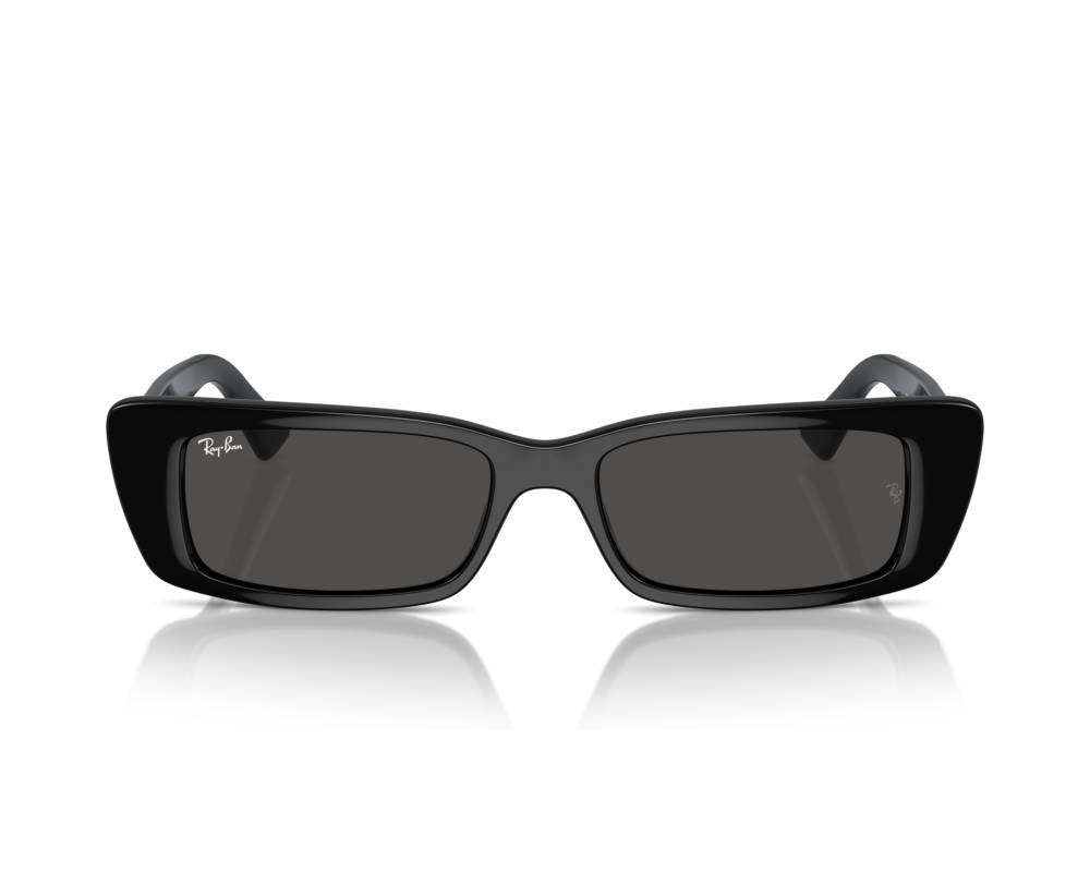 Ray-Ban Sunglasses Teru RB4425 667787