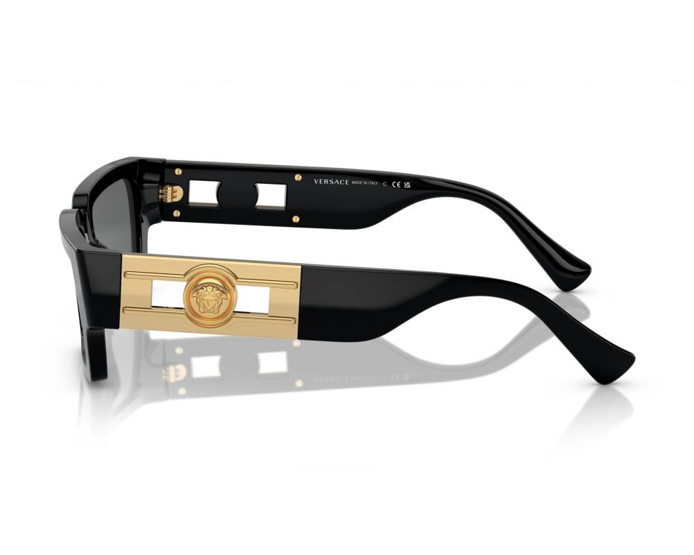 Versace Sunglasses VE4459 GB1/87