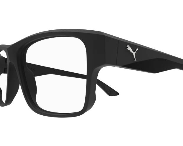 Puma Glasses PU0408O 002