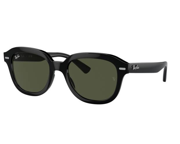 Ray-Ban Sunglasses Erik RB4398 901/31