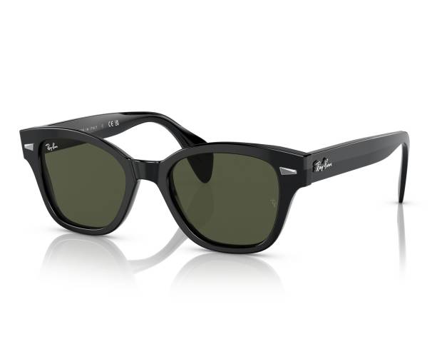 Ray-Ban Sunglasses RB0880S 901/31