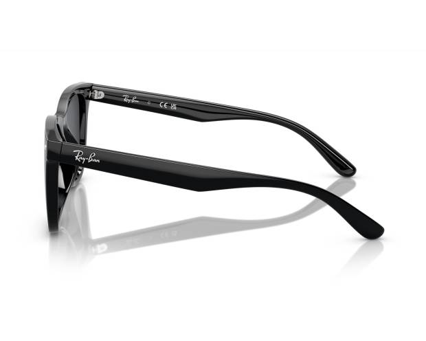 Ray-Ban Sunglasses RB4420 601/87