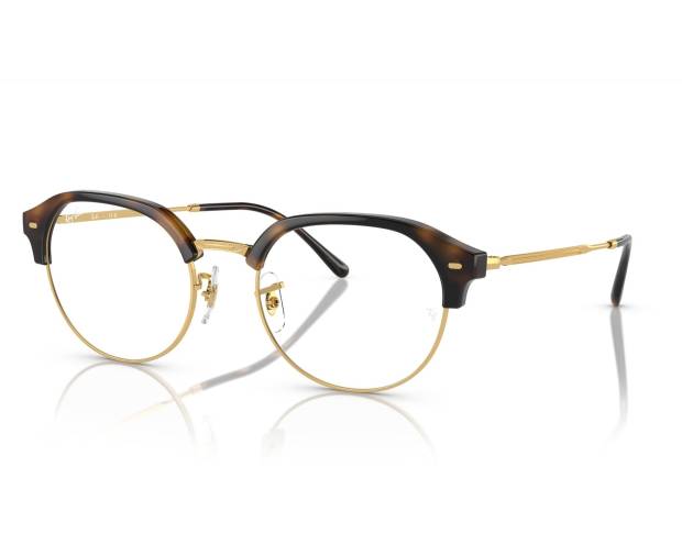 Ray-Ban Glasses RX7229 2012