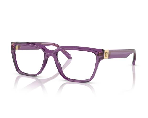 Versace Glasses VE3357 5464