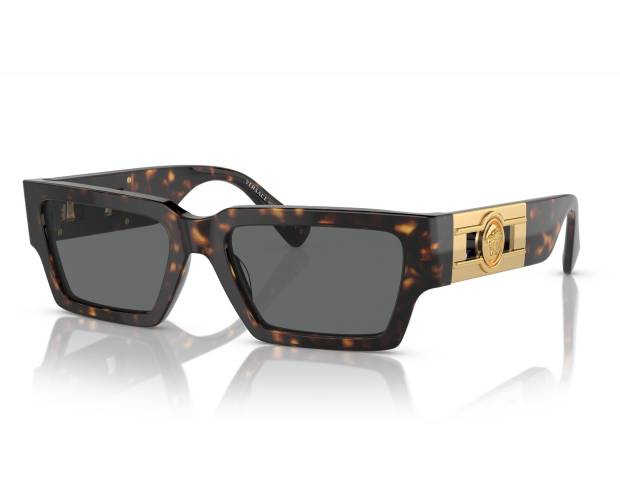 Versace Sunglasses VE4459 108/87