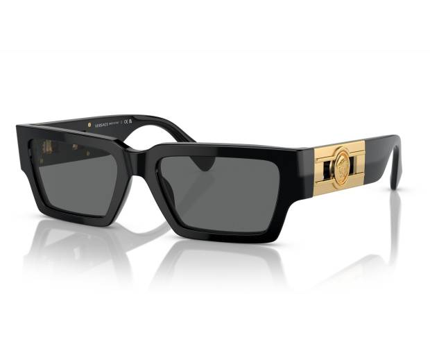Versace Sunglasses VE4459 GB1/87