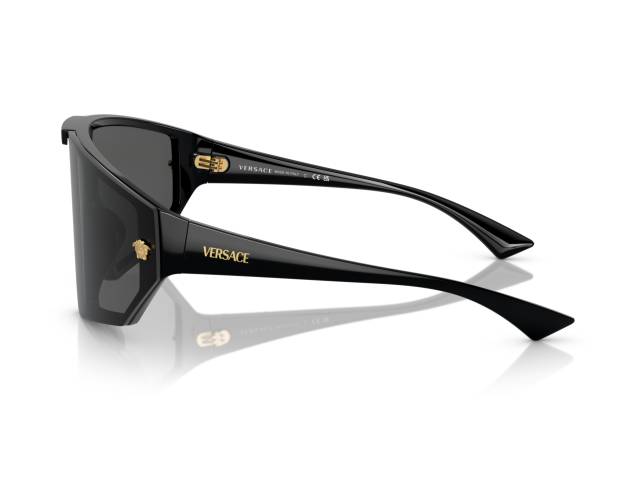 Versace Sunglasses VE4461 GB1/87